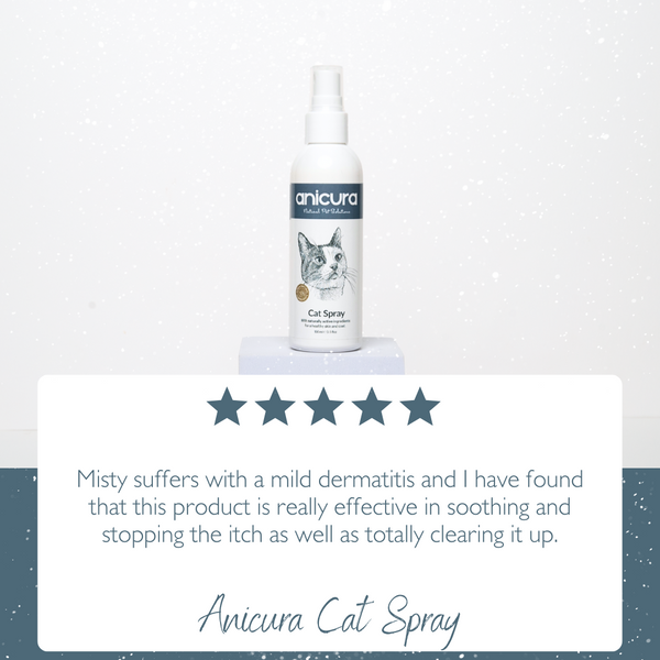 Anicura Cat Spray for Dry & Itchy Skin – Anicura USA