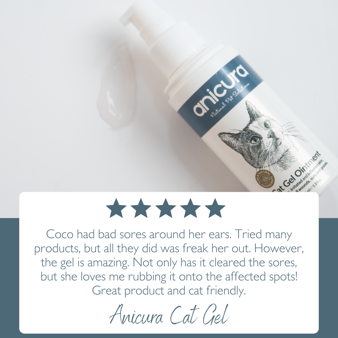 Anicura Cat Gel Ointment for Dry, Irritated Skin – Anicura USA